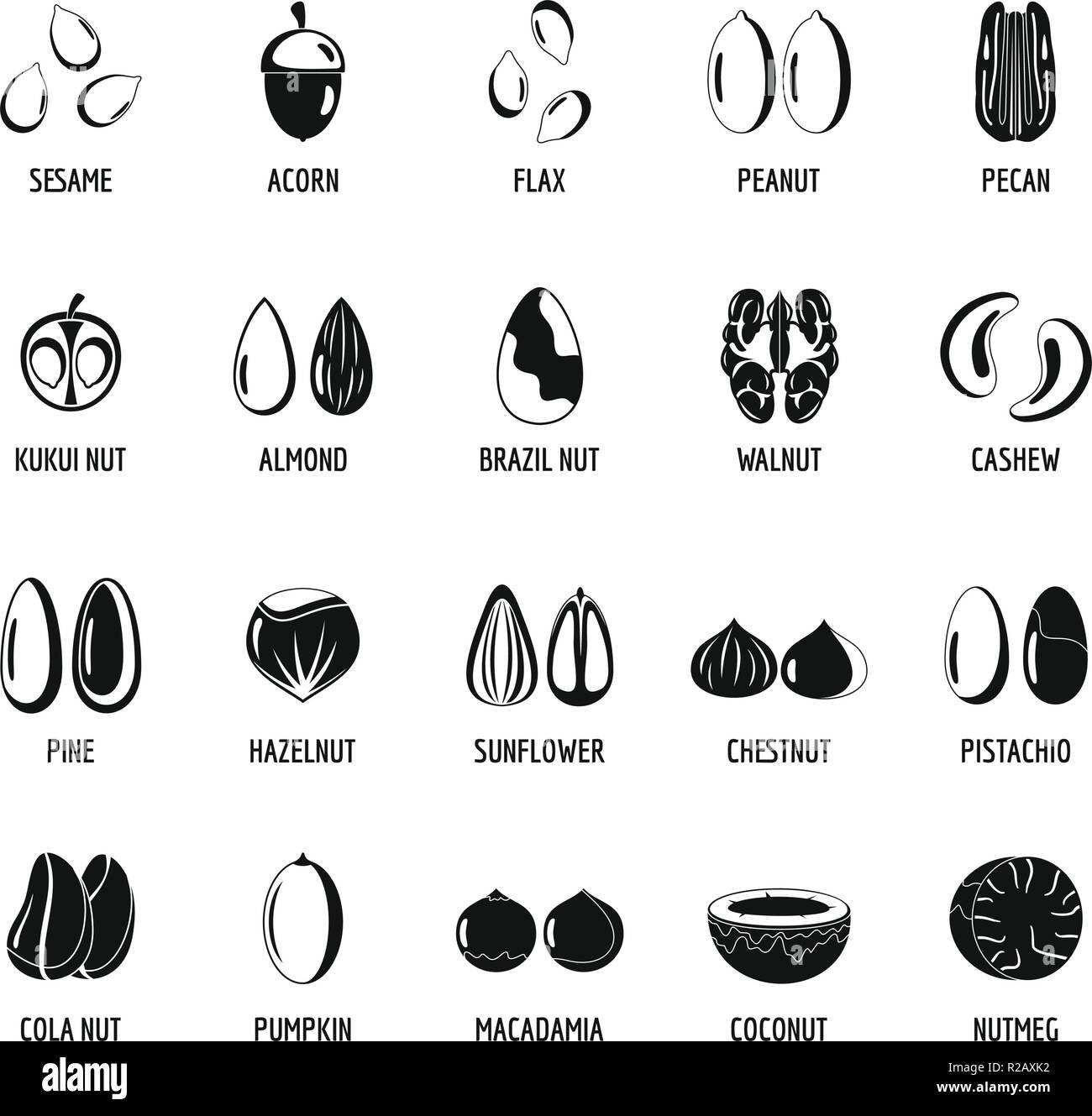 Nut types ith signed names icons set. Simple illustration of 20 nut ...