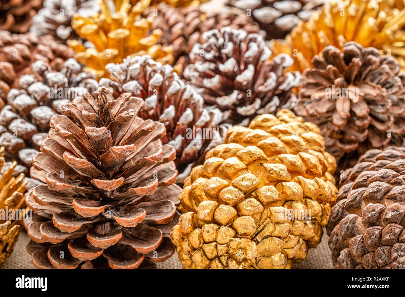 Decorative pine cones hi-res stock photography and images - Alamy