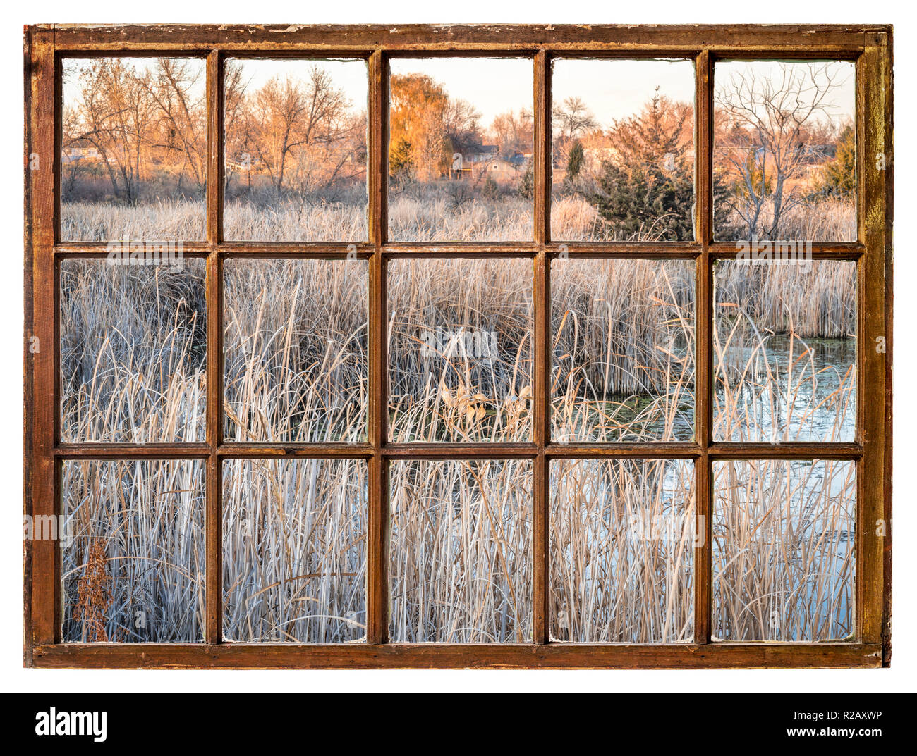 fall scenery in wetlands in northern Colorado as seen from a vintage ...