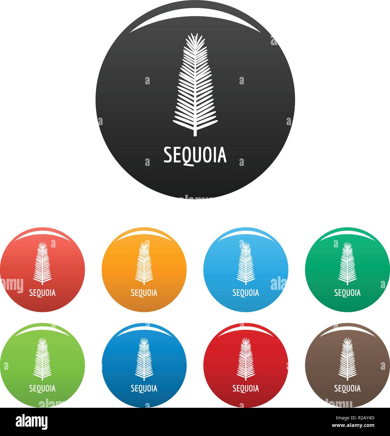 Sequoia leaf icon. Simple illustration of sequoia leaf vector icons set ...