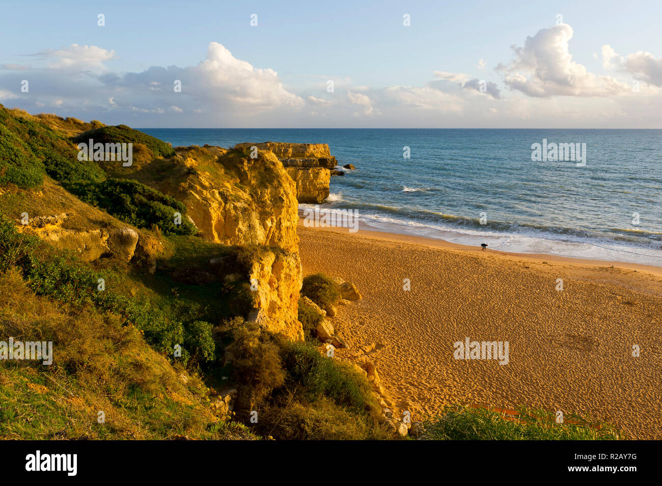 Praia do Castelo, Castelo Beach Algarve, Portugal Stock Photo - Alamy
