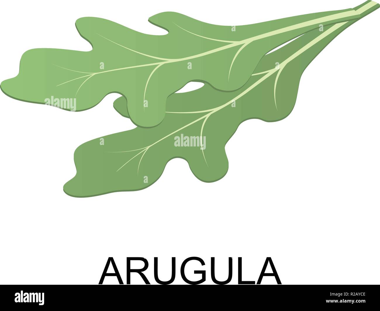 Arugula icon. Isometric of arugula vector icon for web design isolated ...