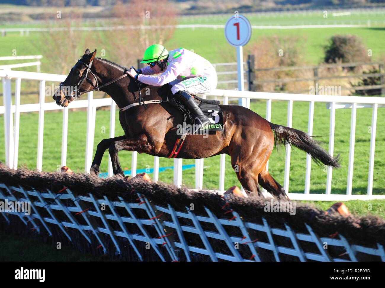Sharjah and Paul Townend win the Grade 1 Morgiana Hurdle during day two ...