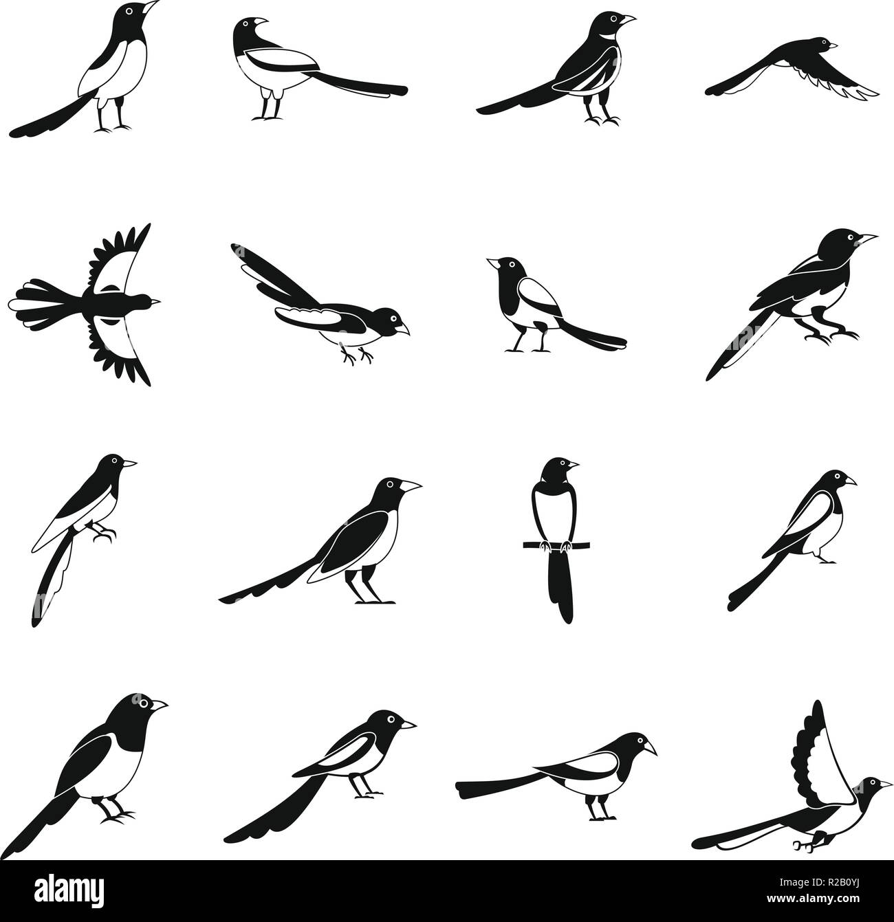 Magpie crow bird icons set. Simple illustration of 16 magpie crow bird ...