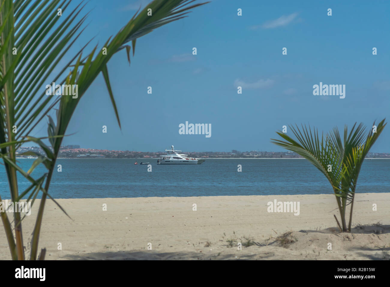 View of palm trees on beach, and boats on water, on the island of ...