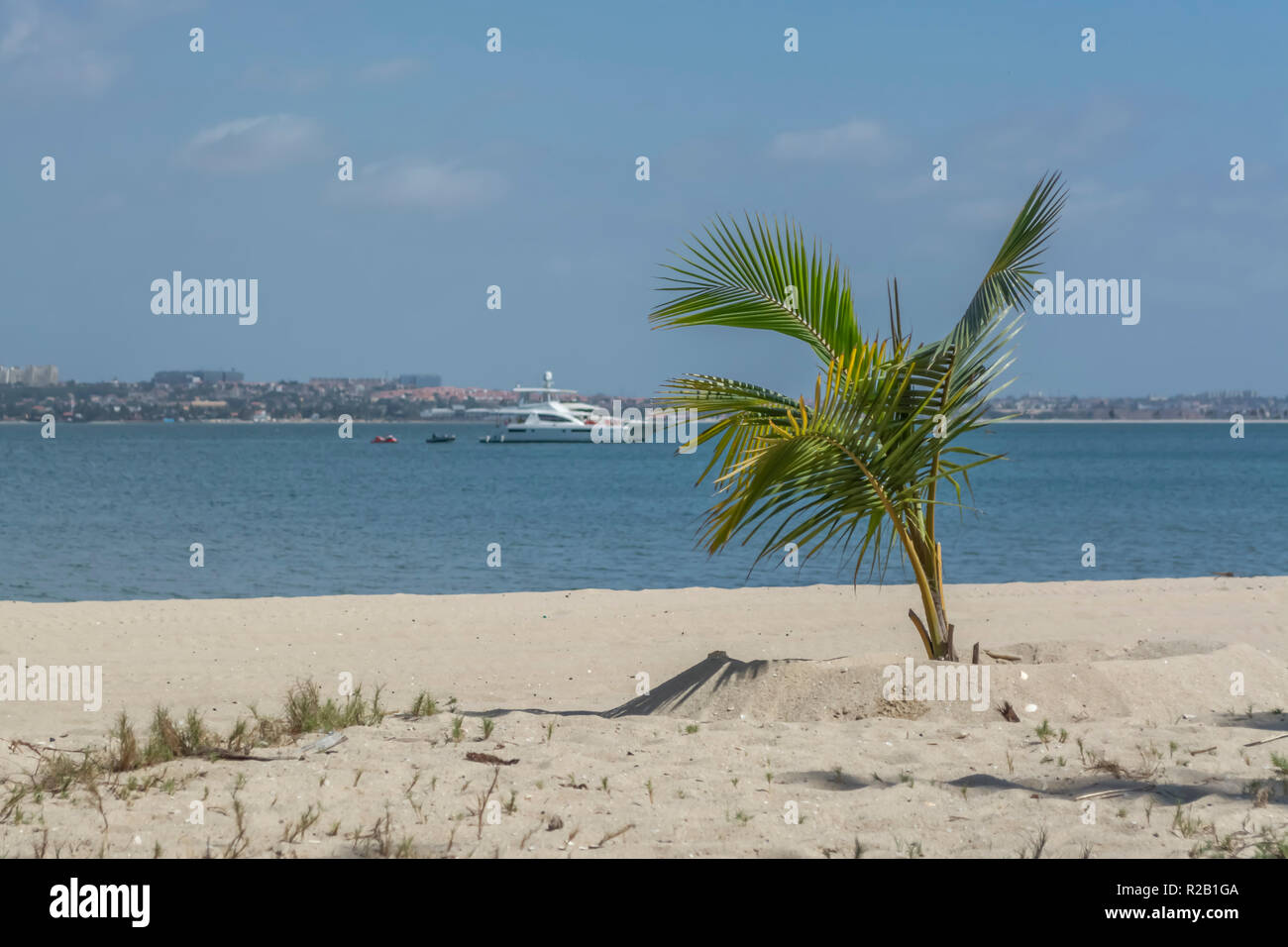 View of palm trees on beach, and boats on water, on the island of ...