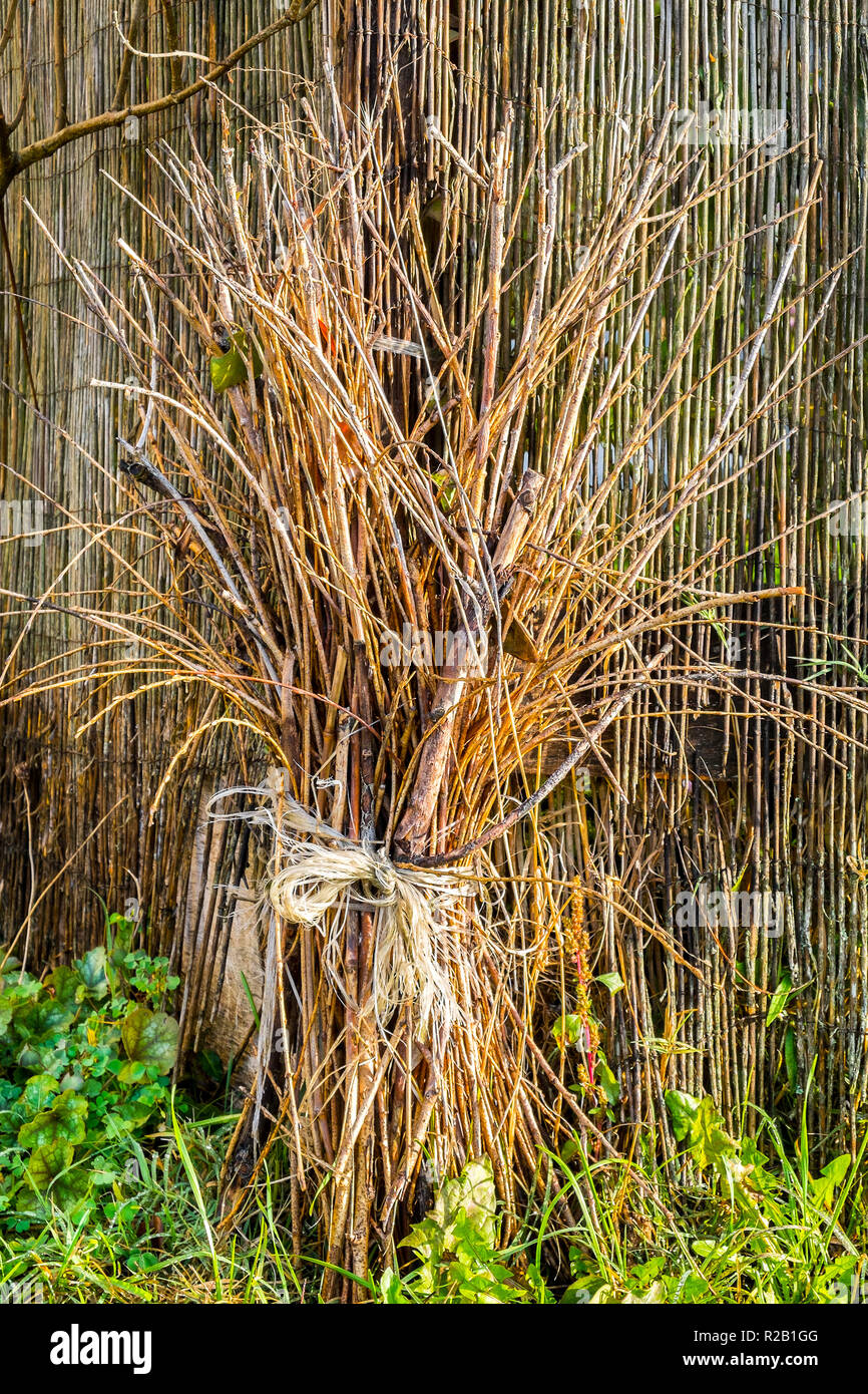 Bundle of twigs tied for garden decoration - France Stock Photo - Alamy