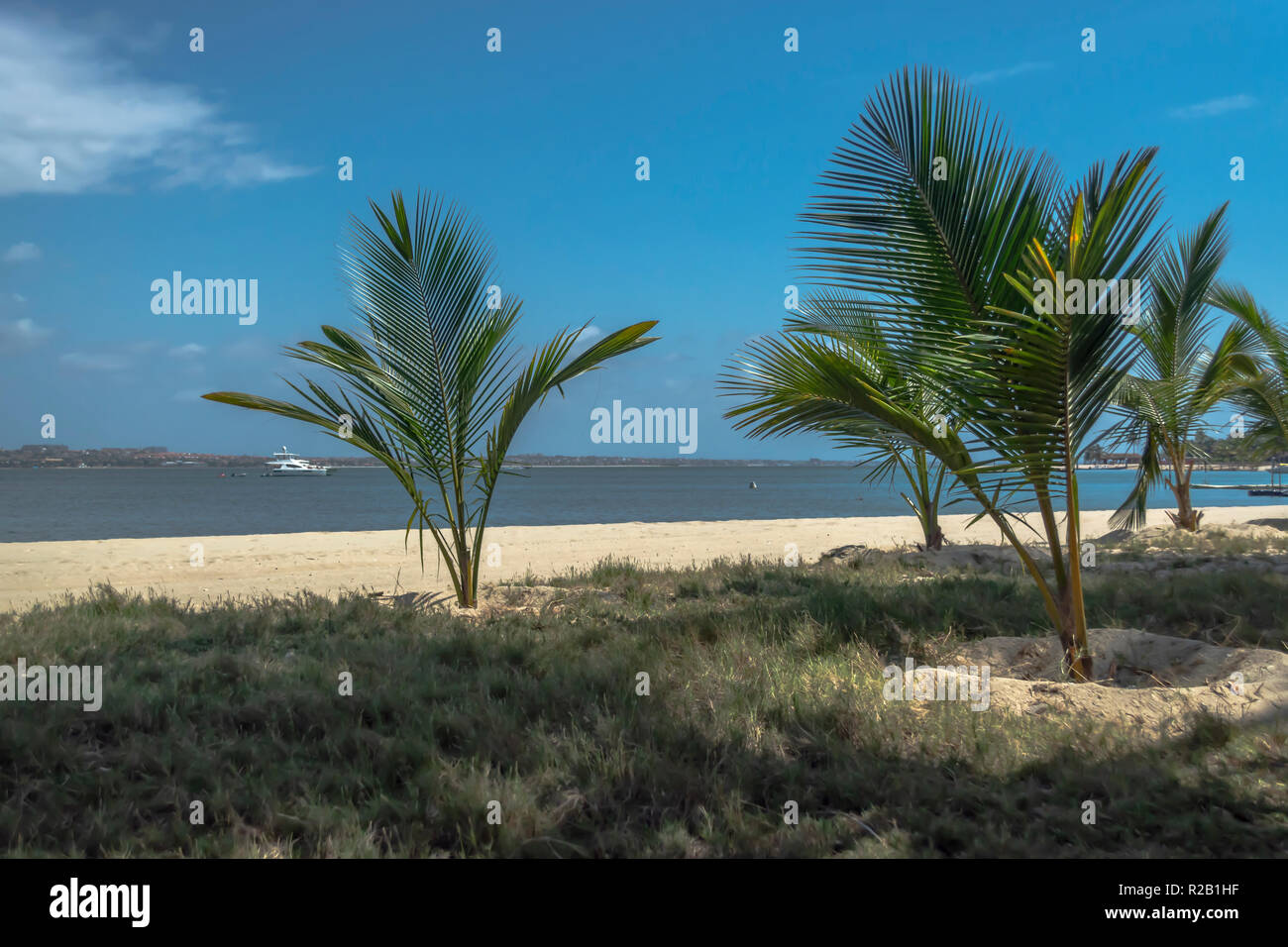 View of palm trees on beach, and boats on water, on the island of ...