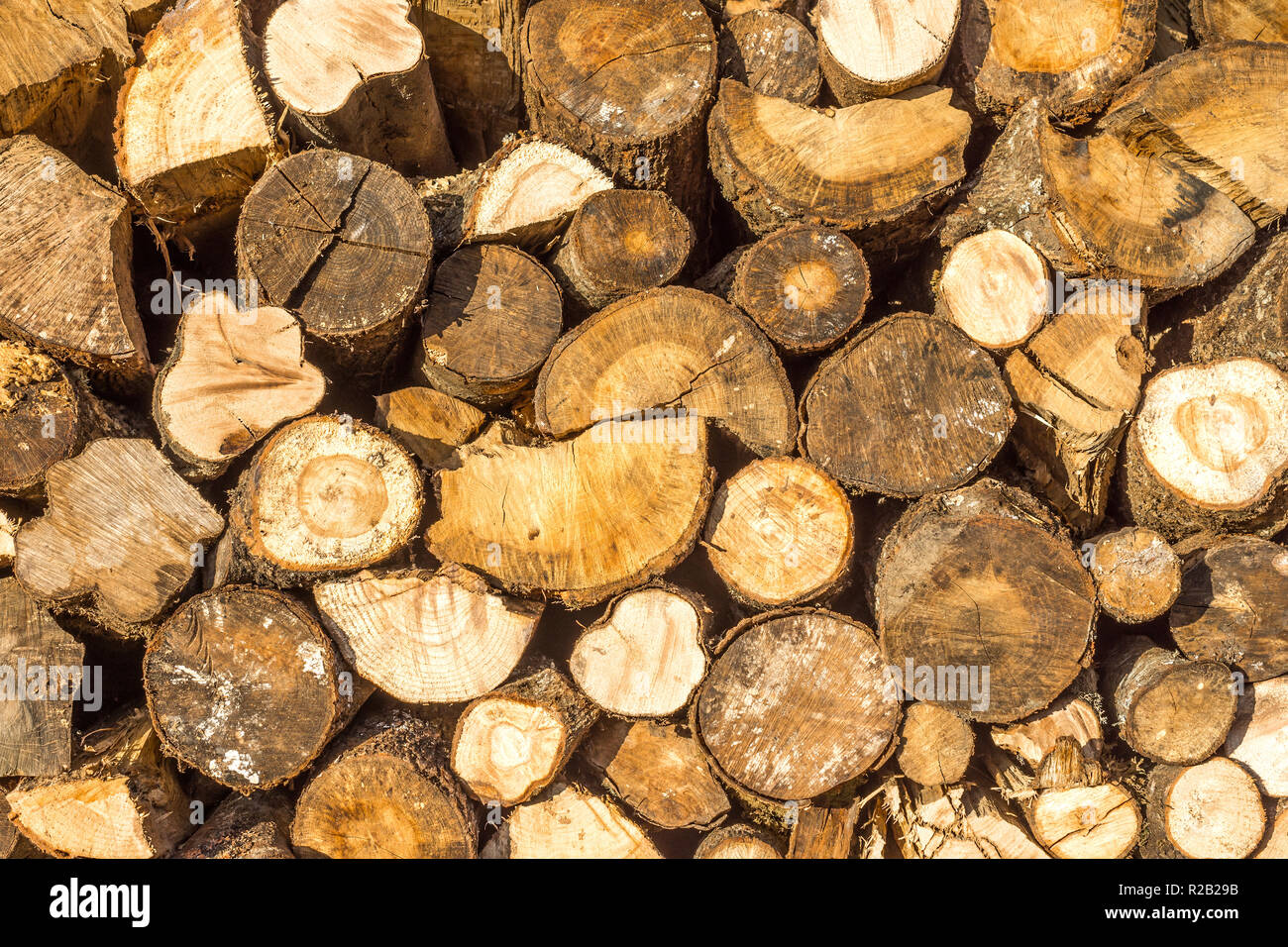 Stacked chopped logs for firewood - France Stock Photo - Alamy