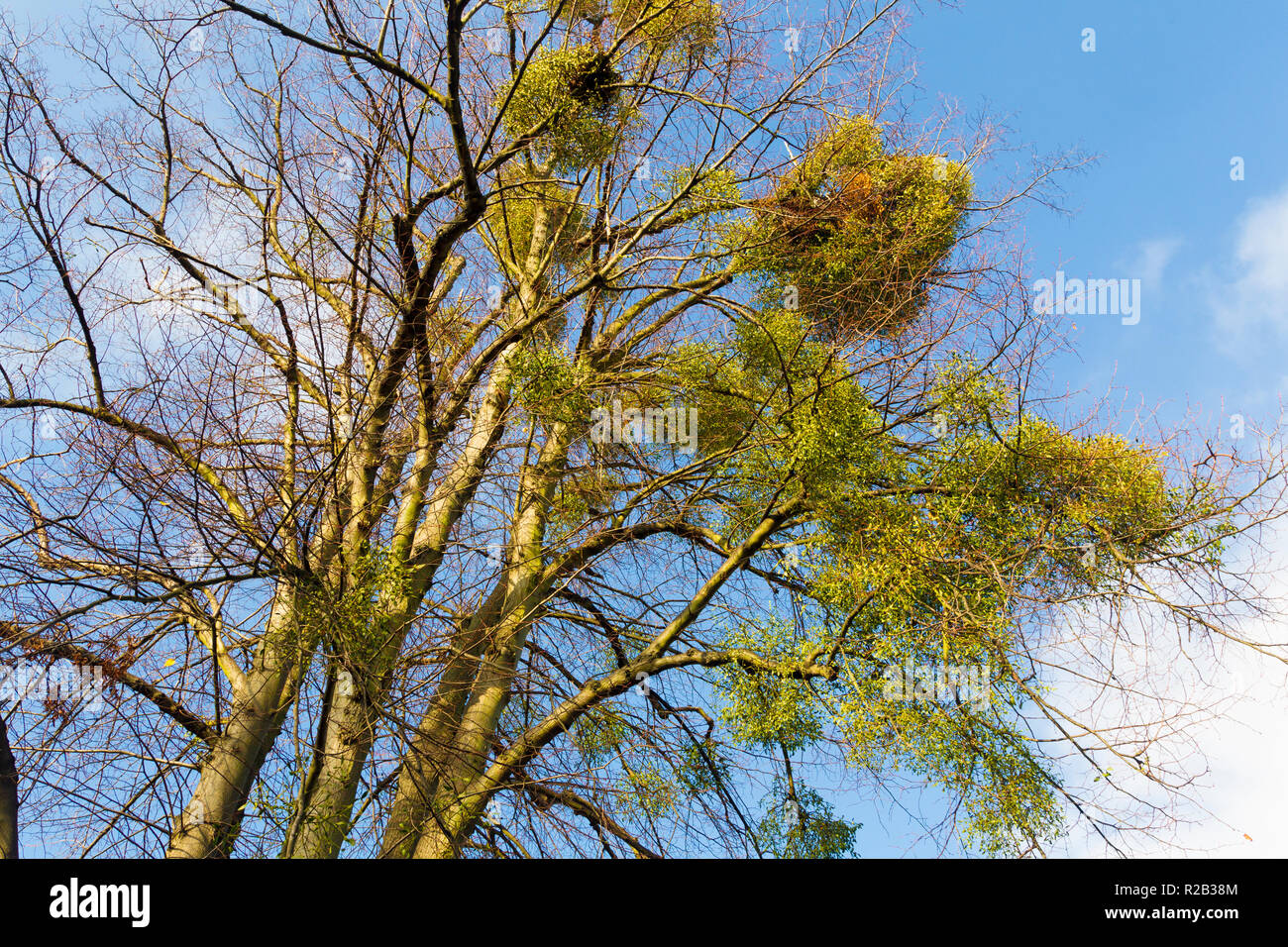 Lime street london uk hi-res stock photography and images - Alamy