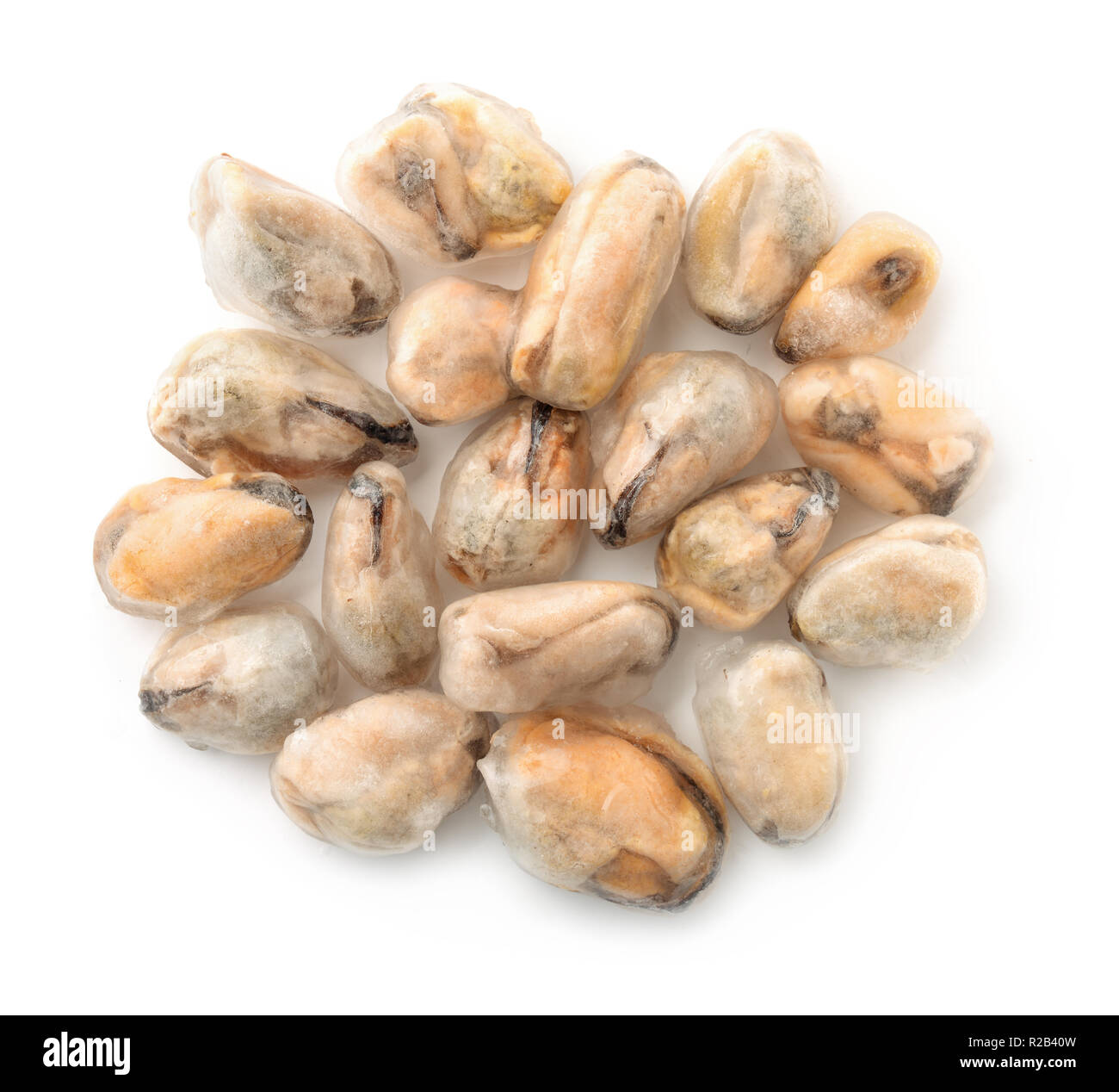 Top view of frozen cooked mussel meat isolated on white Stock Photo - Alamy