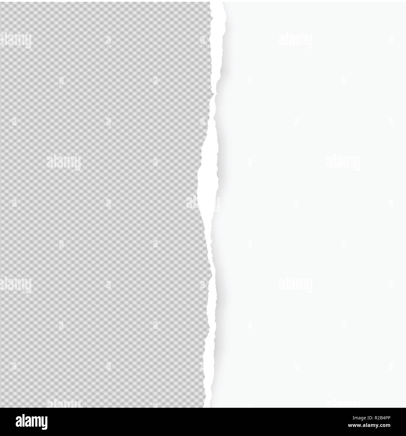 Squared ripped vertical grey paper for text or message are on white ...