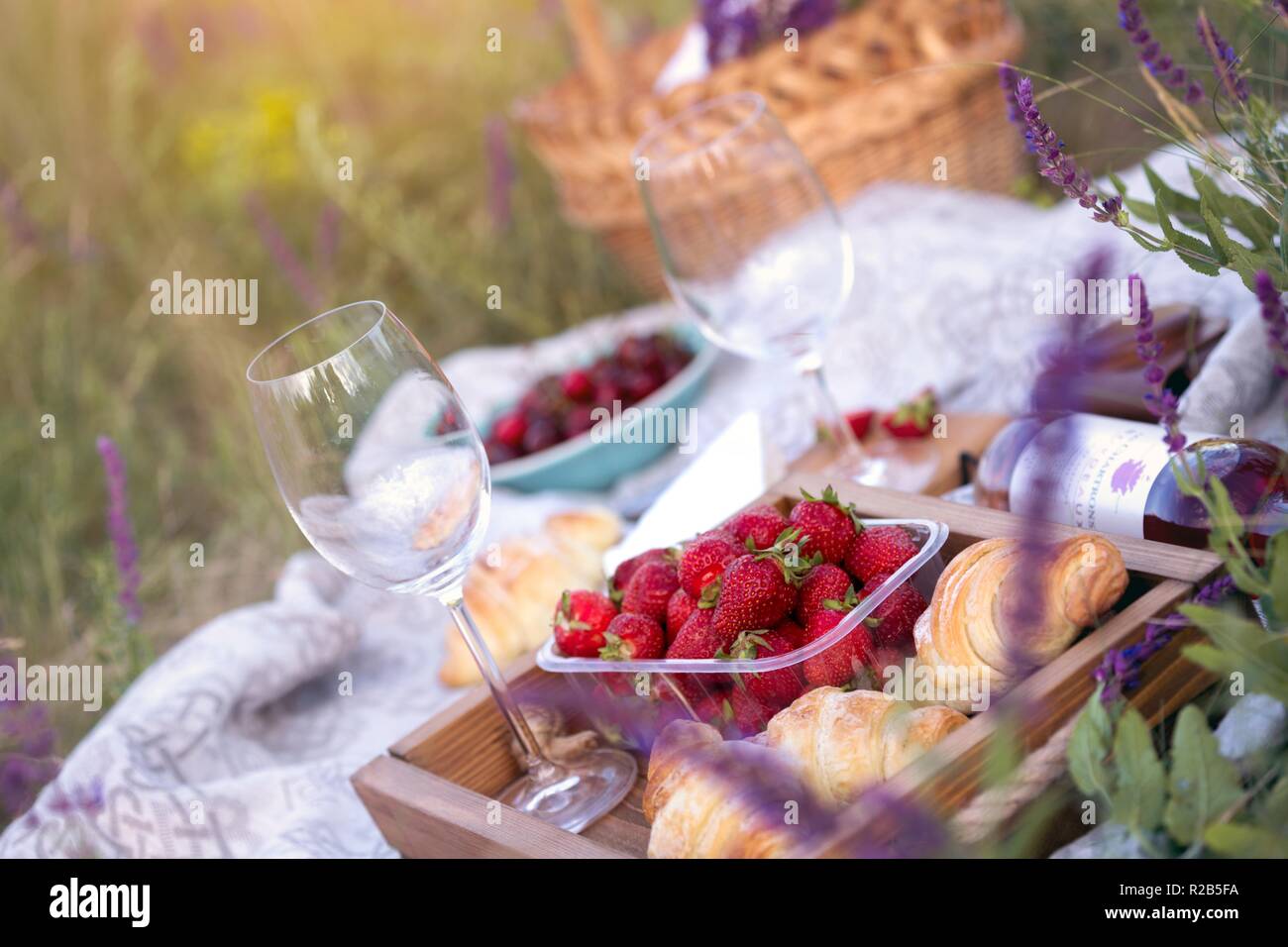 Summer - picnic in the meadow provence. Cheese brie, baguette ...