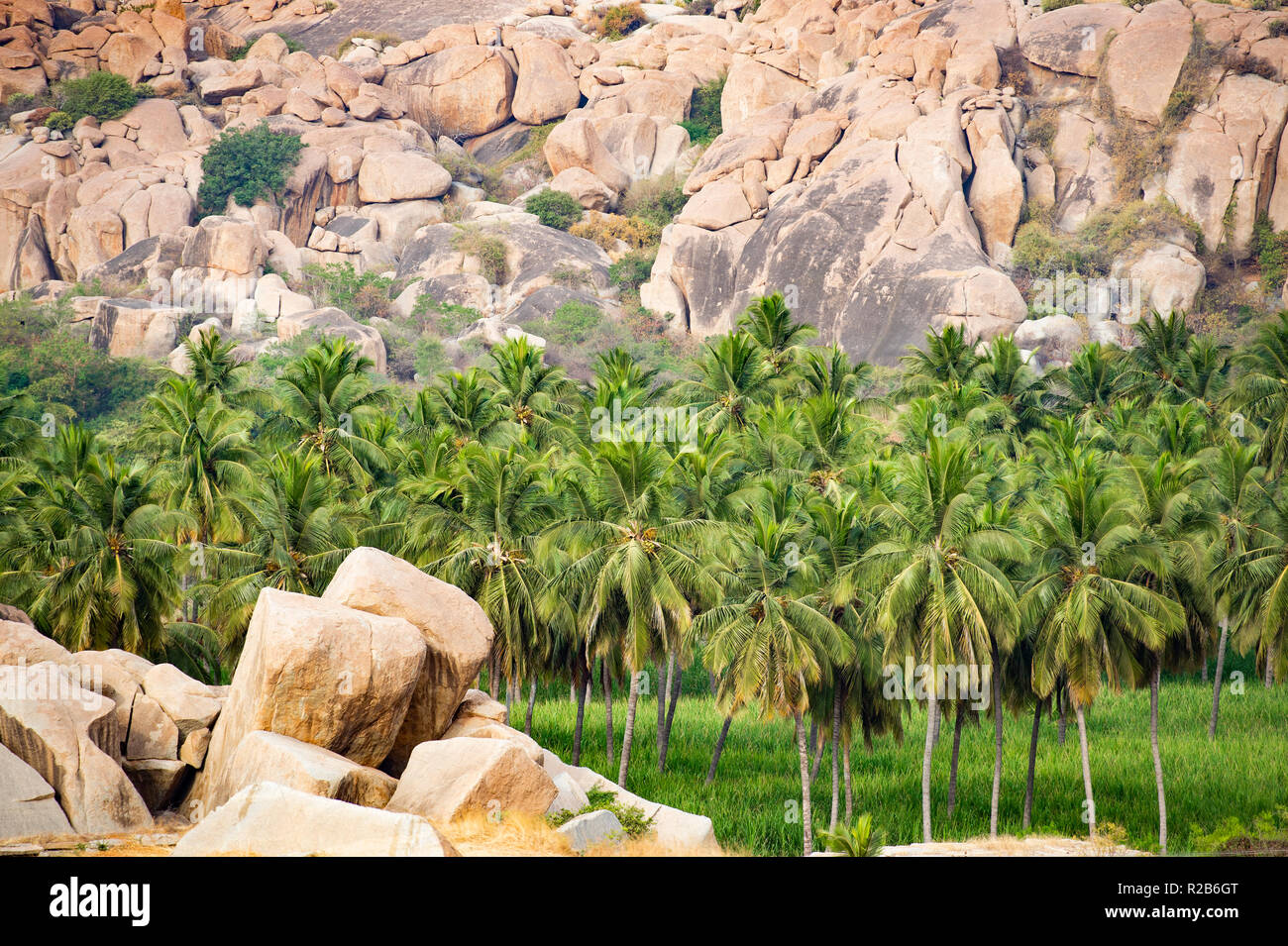 Amazing landscape with green palm trees and some granite rocks, Hampi ...
