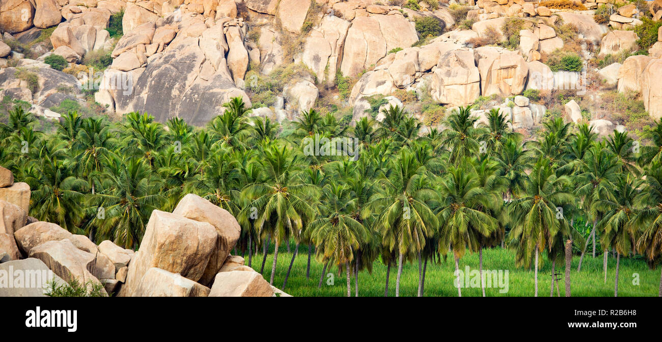 Amazing landscape with green palm trees and some granite rocks, Hampi ...