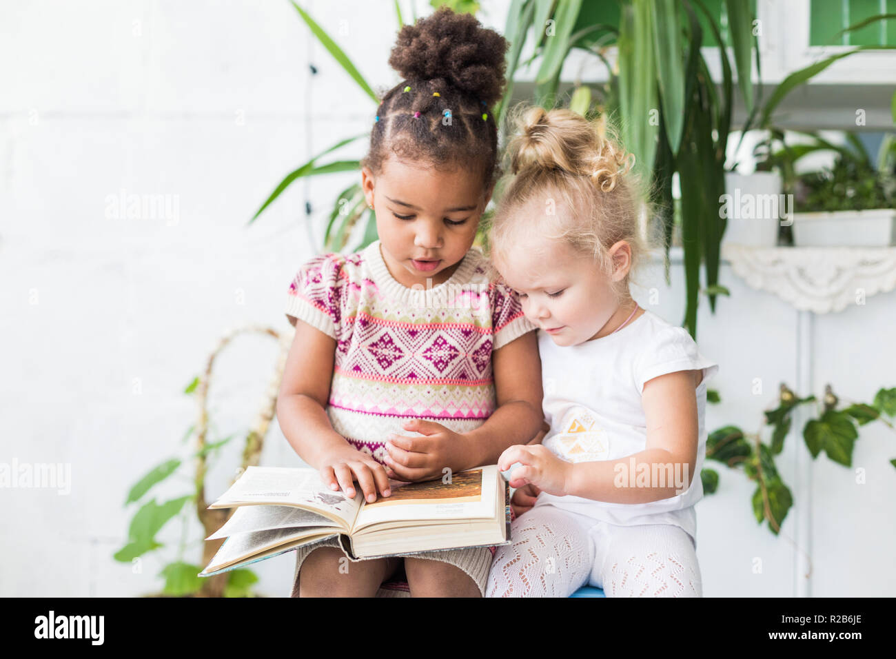 Two little girls read a book on the background of plants in pots Stock ...