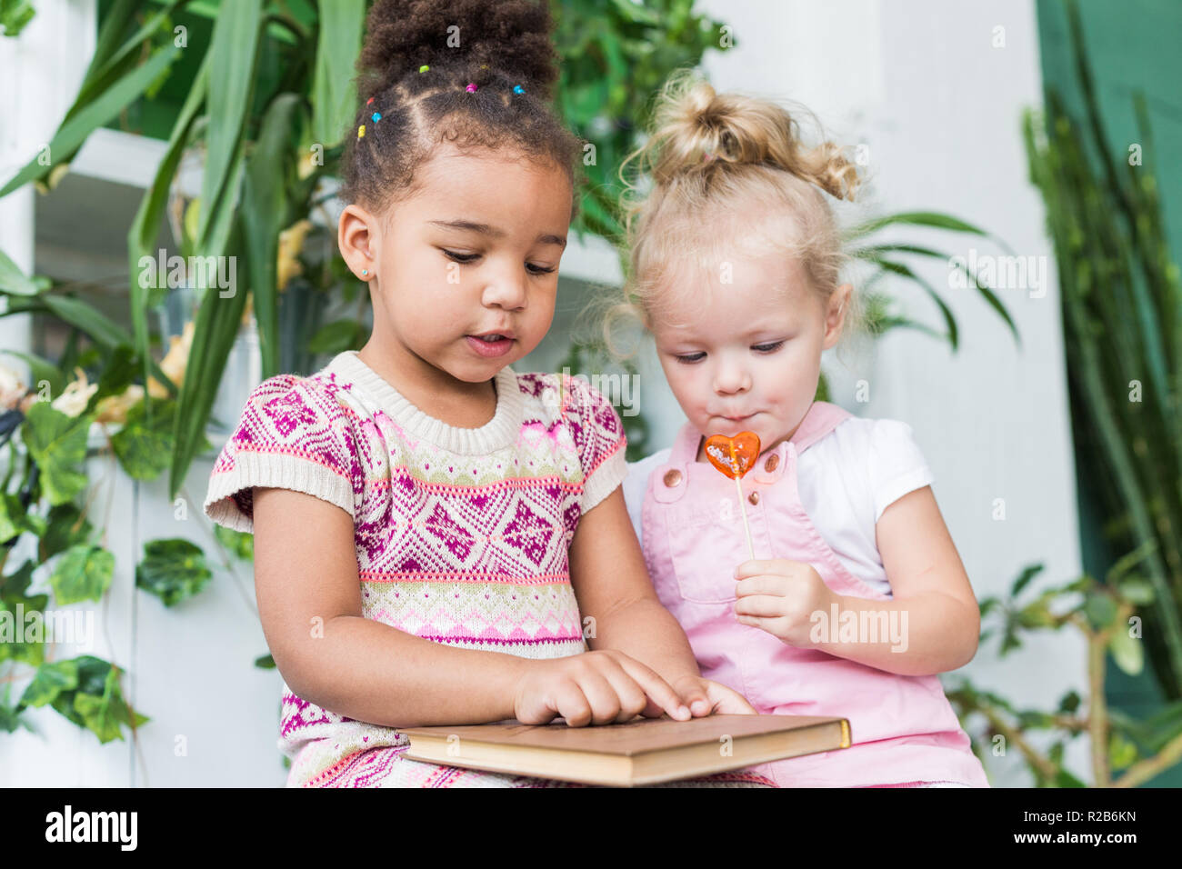 Two little girls read a book on the background of plants in pots Stock ...