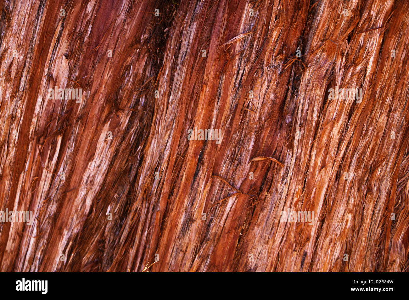 Bark stone pattern hi-res stock photography and images - Alamy