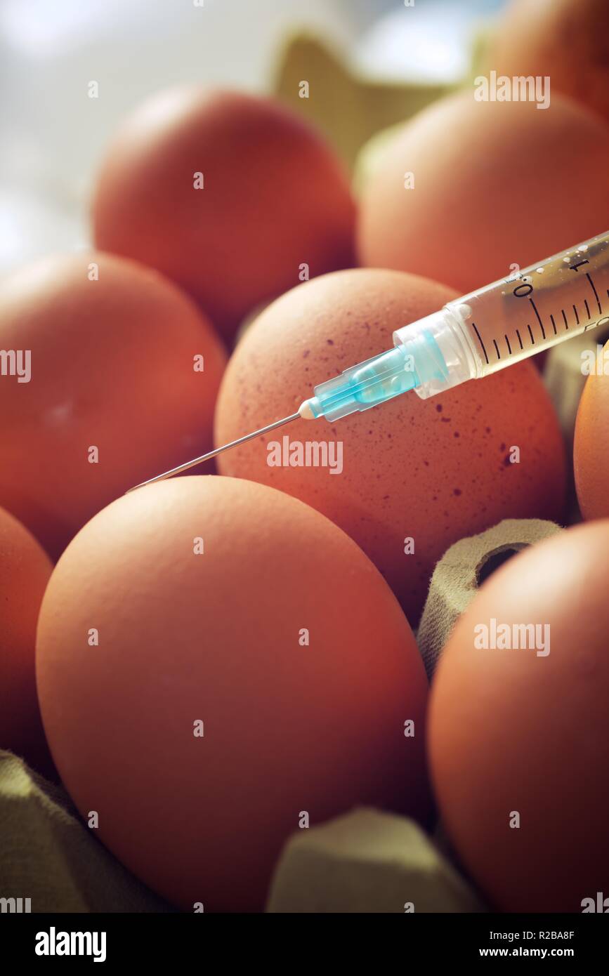 Hormone manipulation with syringe of eggs Stock Photo - Alamy