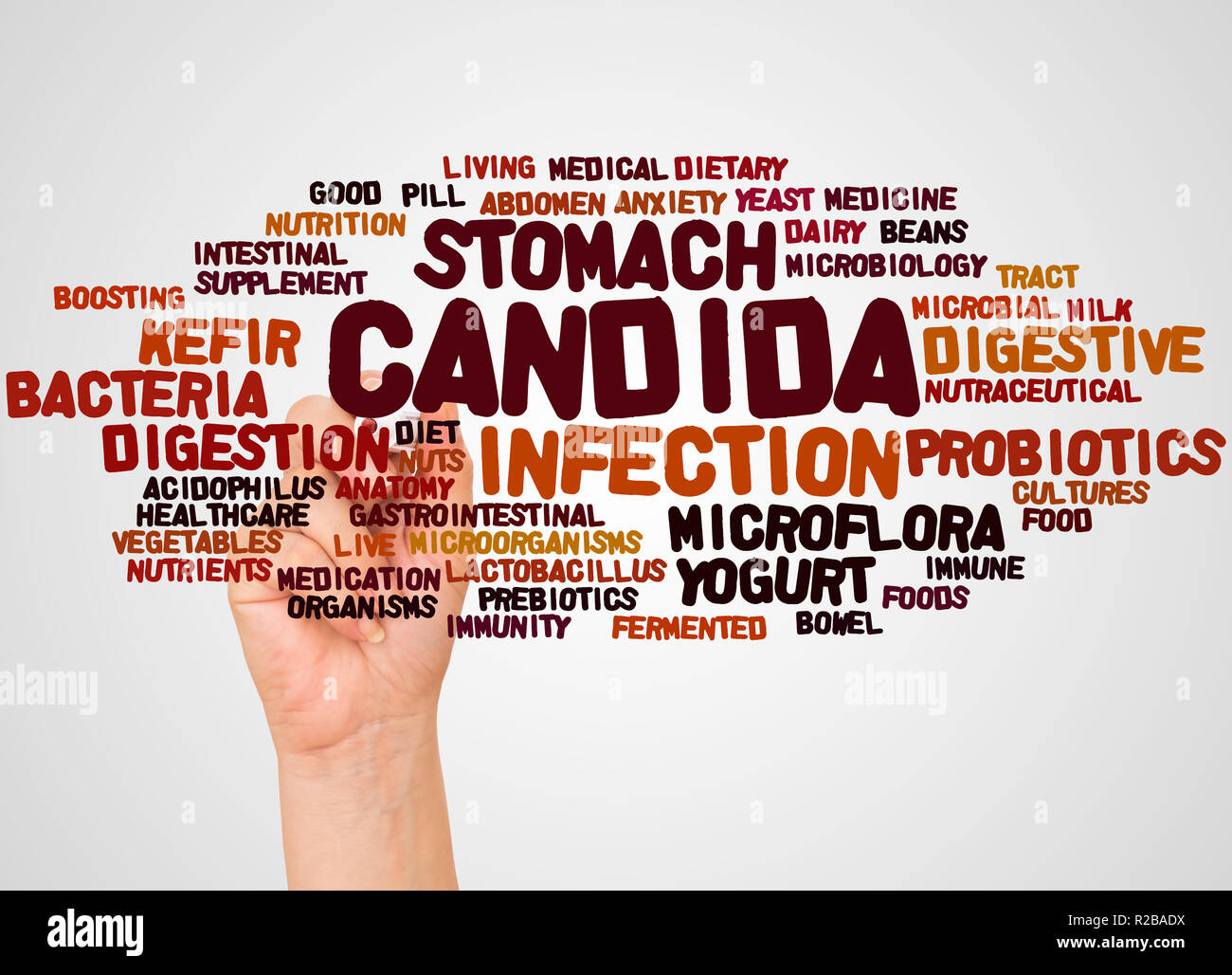 Candida word cloud and hand with marker concept on white background ...