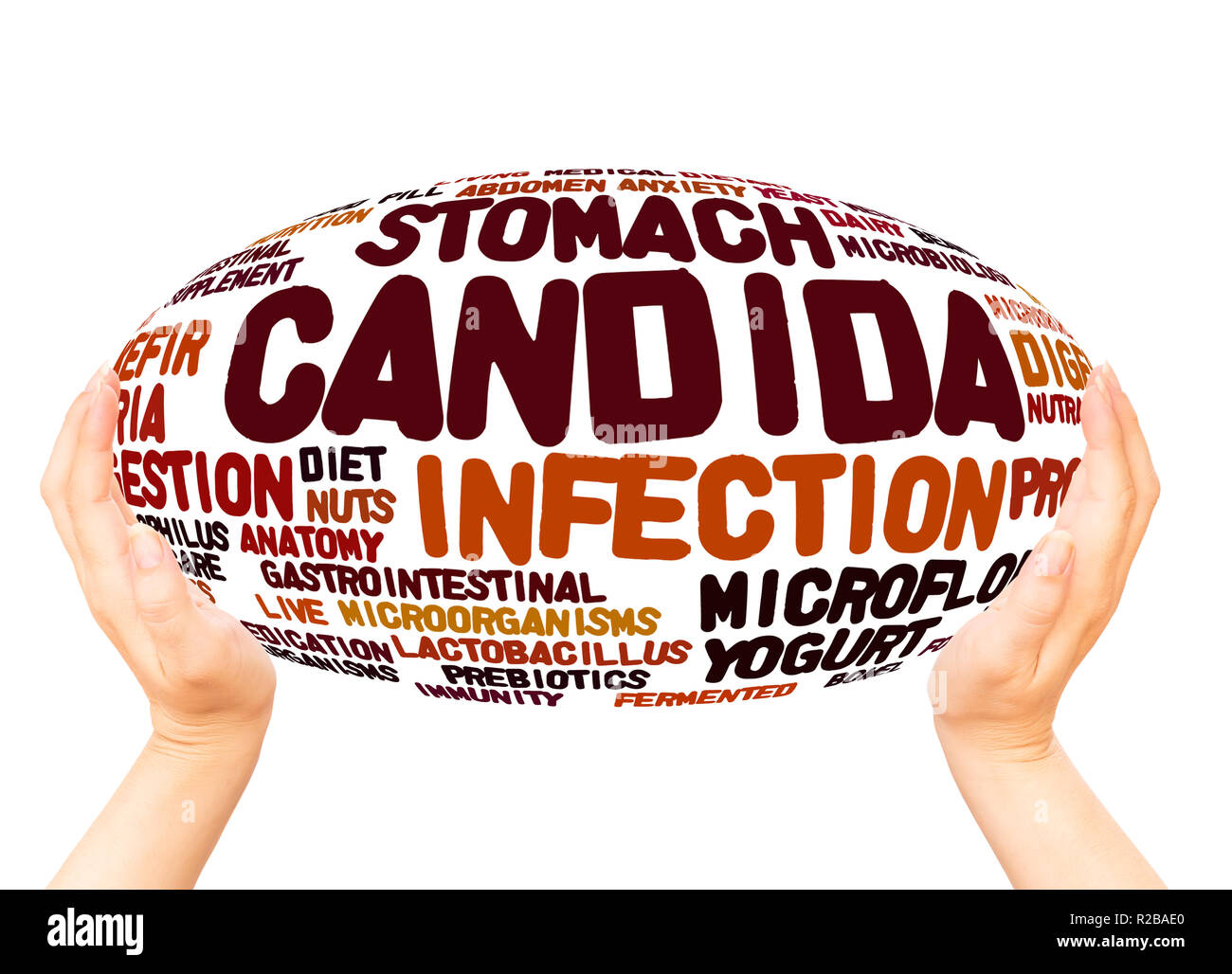 Candida word cloud hand sphere concept on white background Stock Photo ...