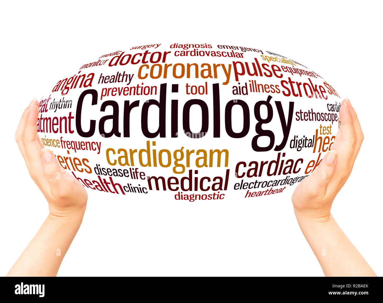 Cardiology word cloud hand sphere concept on white background Stock ...