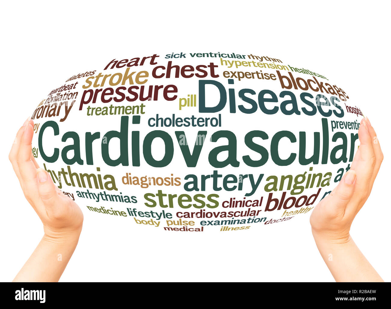 Cardiovascular Diseases word cloud hand sphere concept on white ...