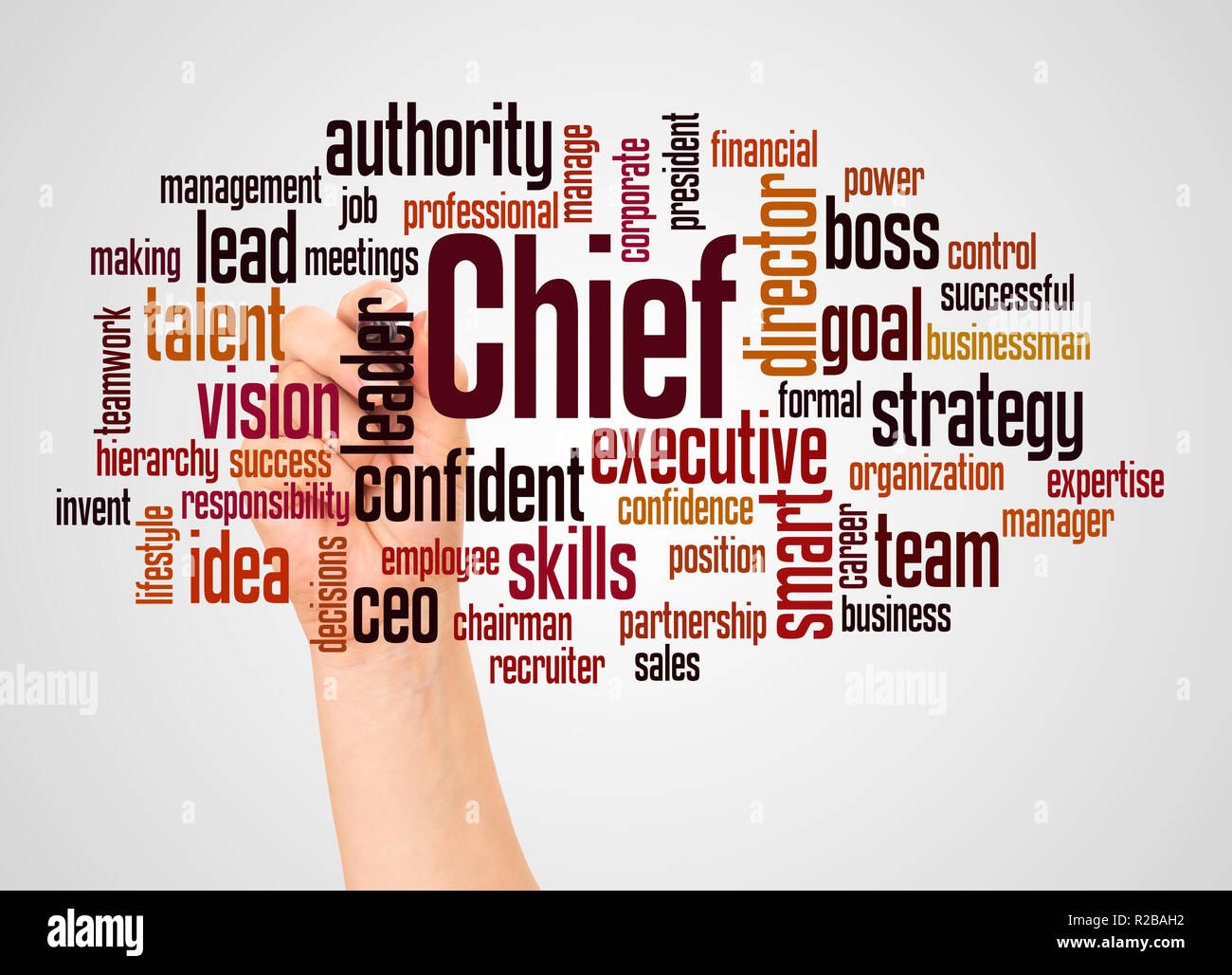 Chief word cloud and hand with marker concept on white background Stock ...