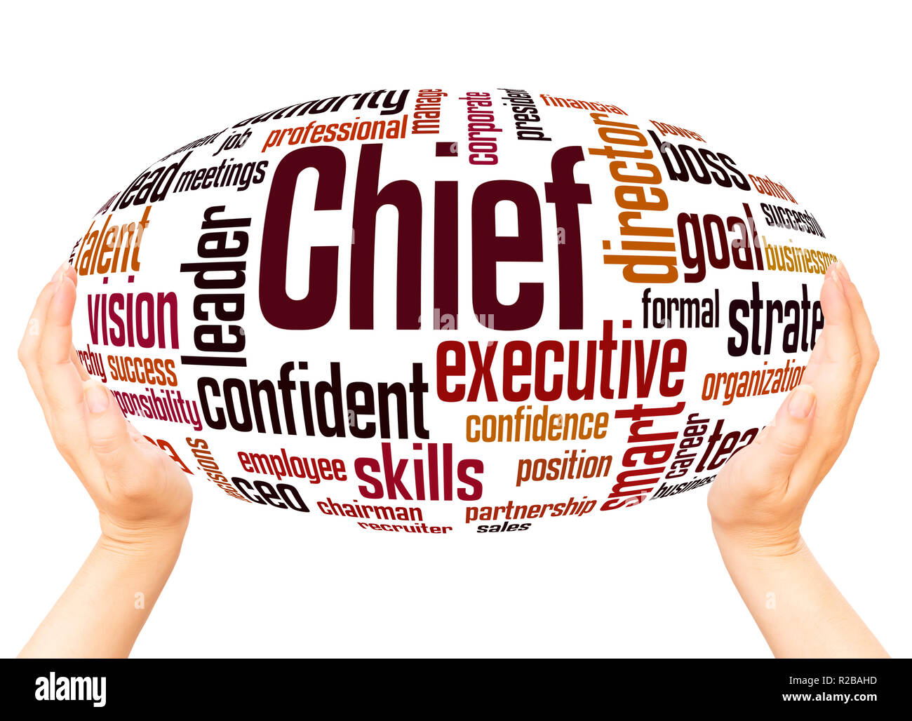 Chief word cloud hand sphere concept on white background Stock Photo ...