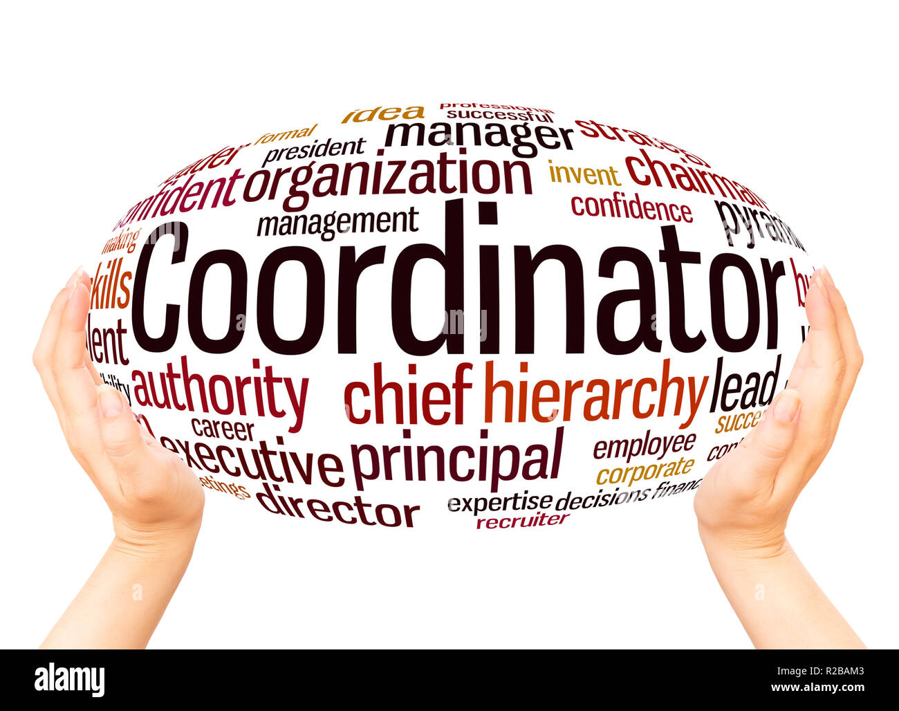 Coordinator word cloud hand sphere concept on white background Stock ...