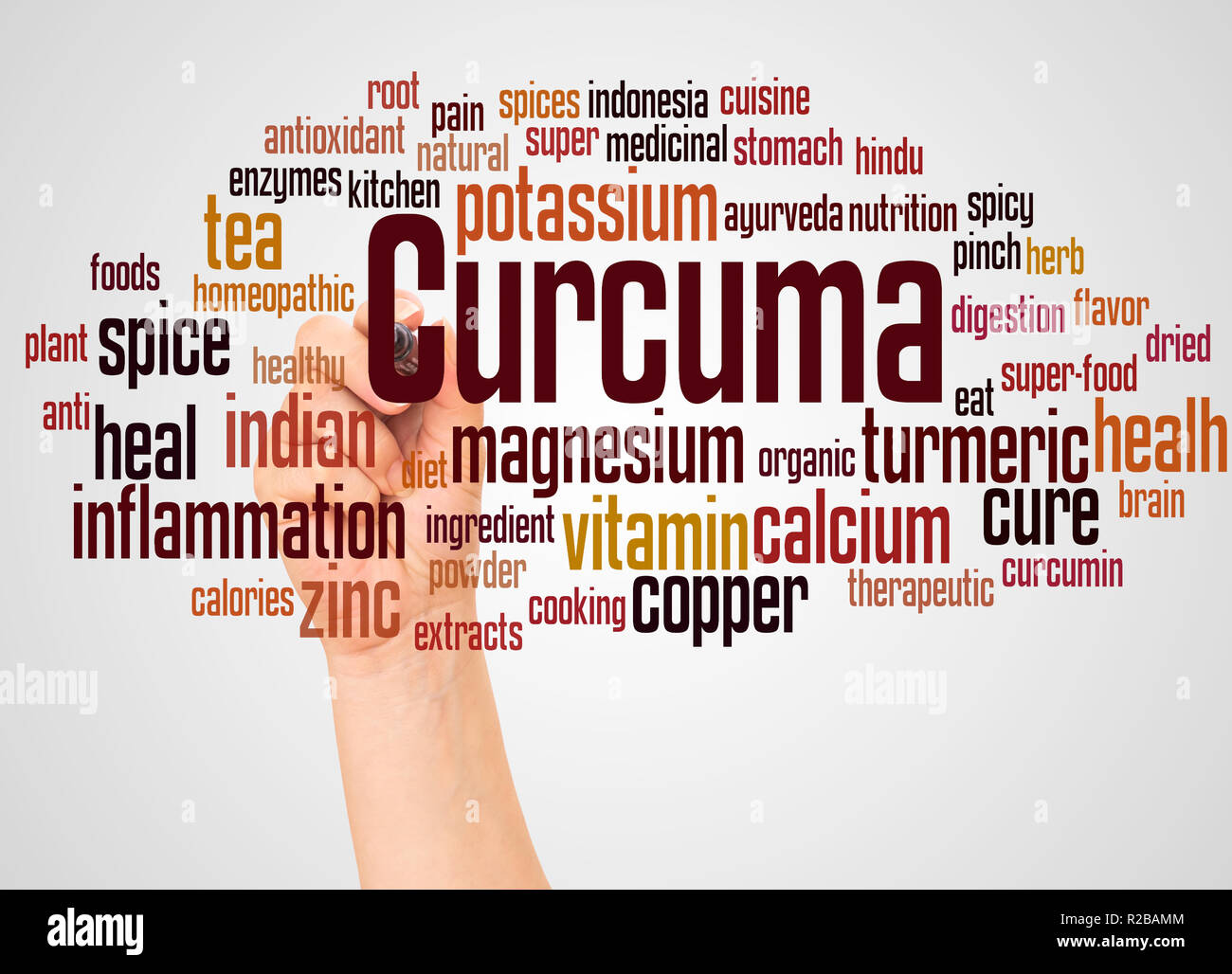 Curcuma word cloud and hand with marker concept on white background ...