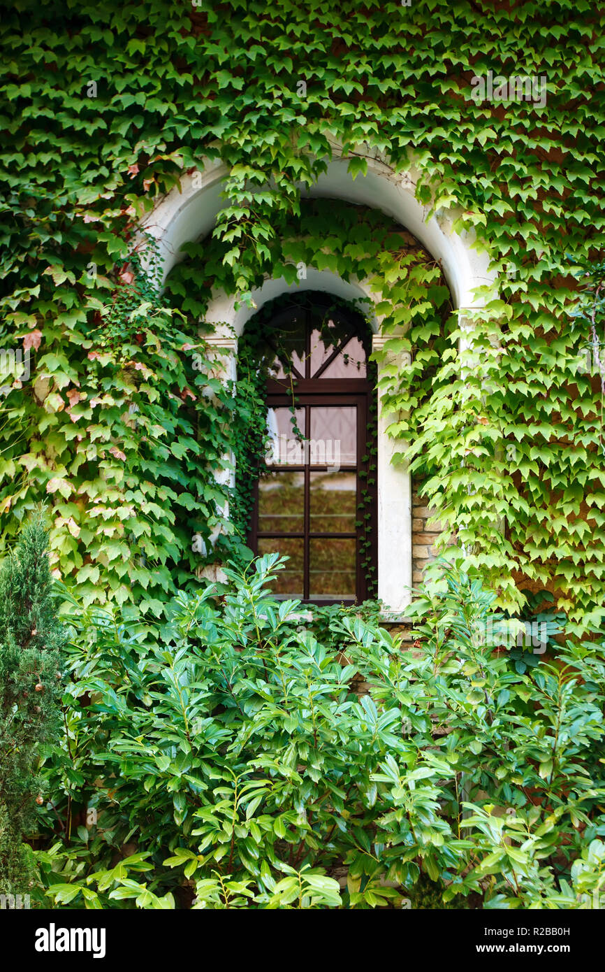 A beautiful box covered with leaves. Architecture, design Stock Photo ...
