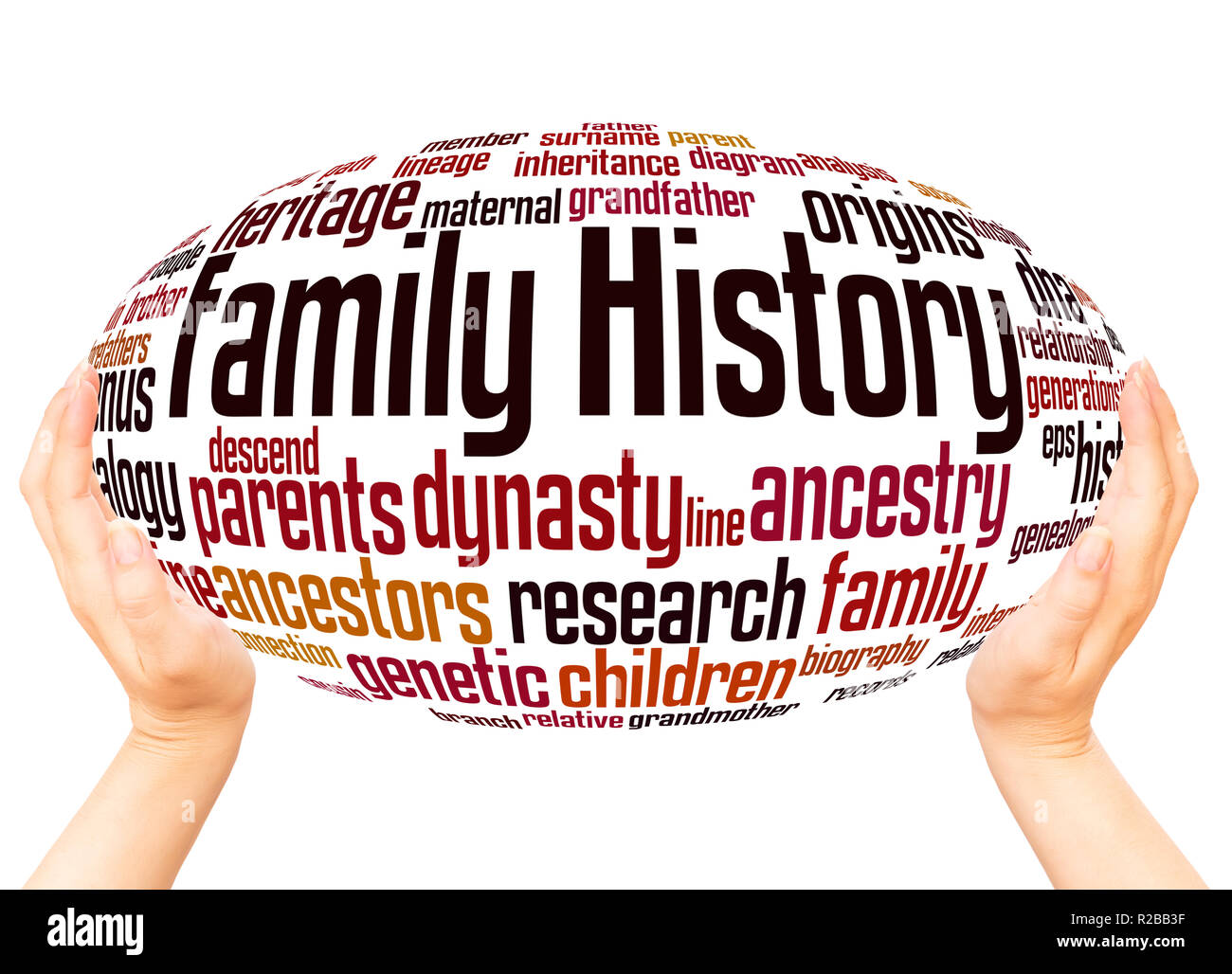 Family History word cloud hand sphere concept on white background Stock ...