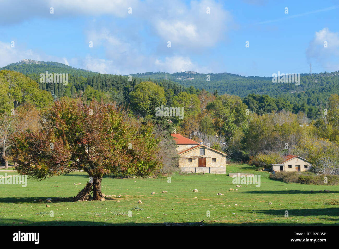 Royal estate landscape architecture hi-res stock photography and images ...