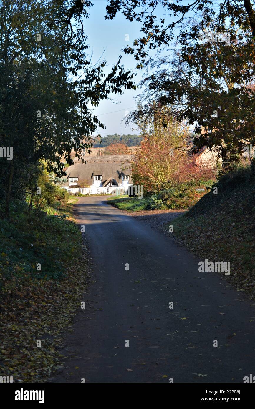 Barnham suffolk hi-res stock photography and images - Alamy