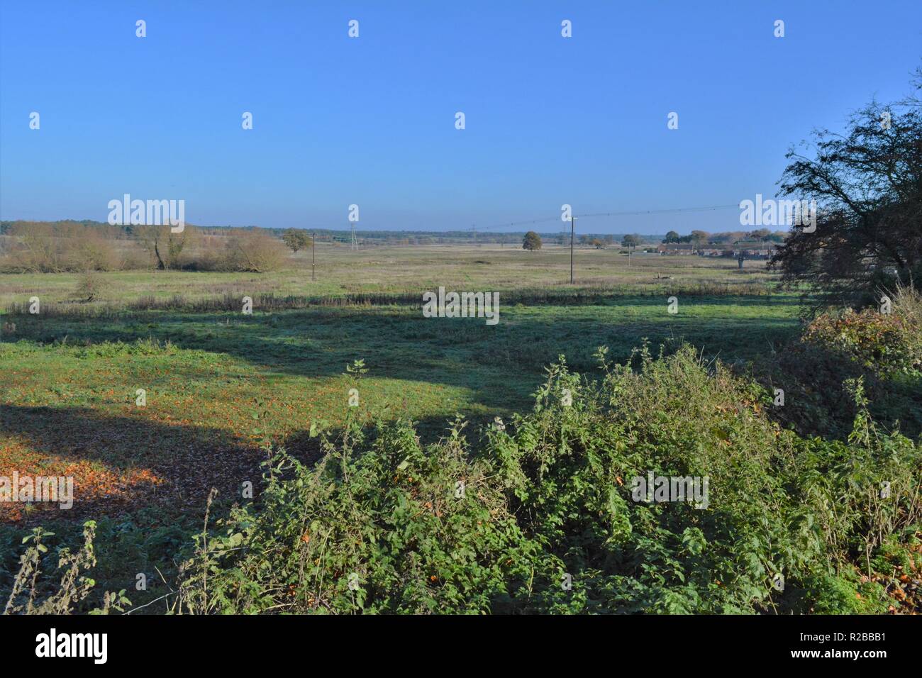 Barnham Suffolk country village in November on 100 anniversary of the ...