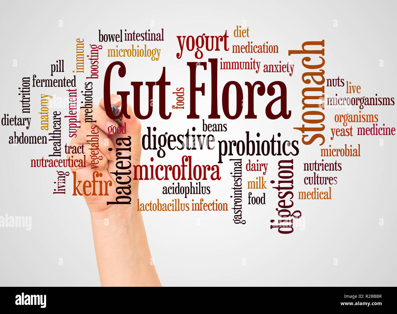 Gut flora hi-res stock photography and images - Alamy