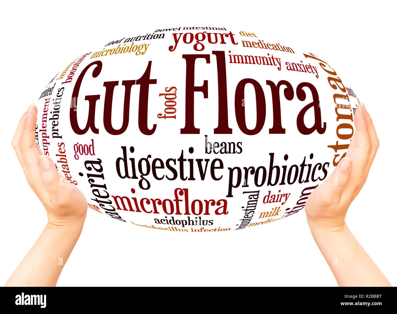 Gut flora hi-res stock photography and images - Alamy