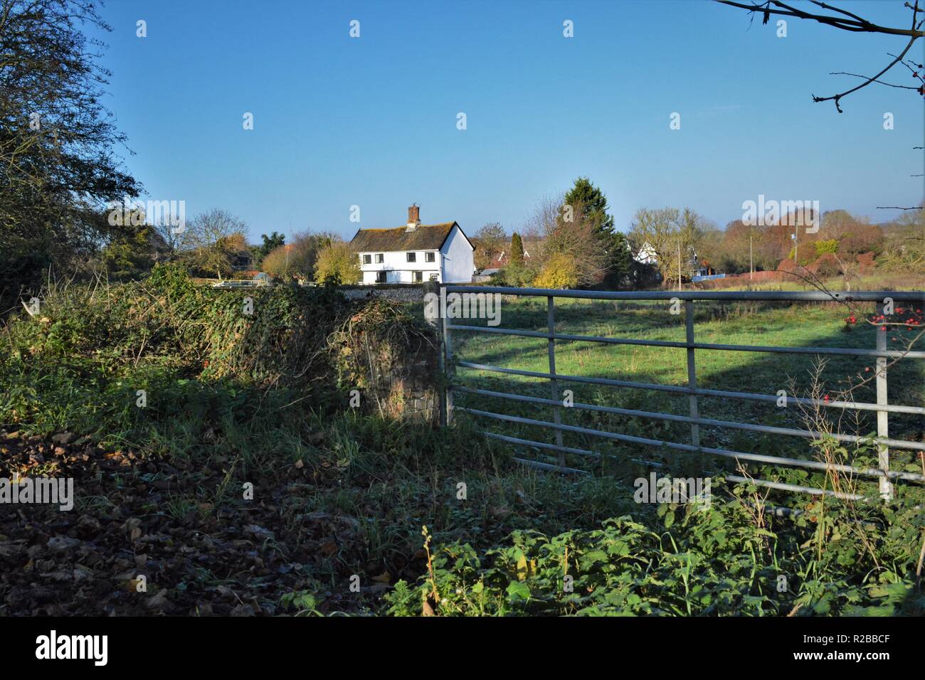 Barnham Suffolk country village in November on 100 anniversary of the ...