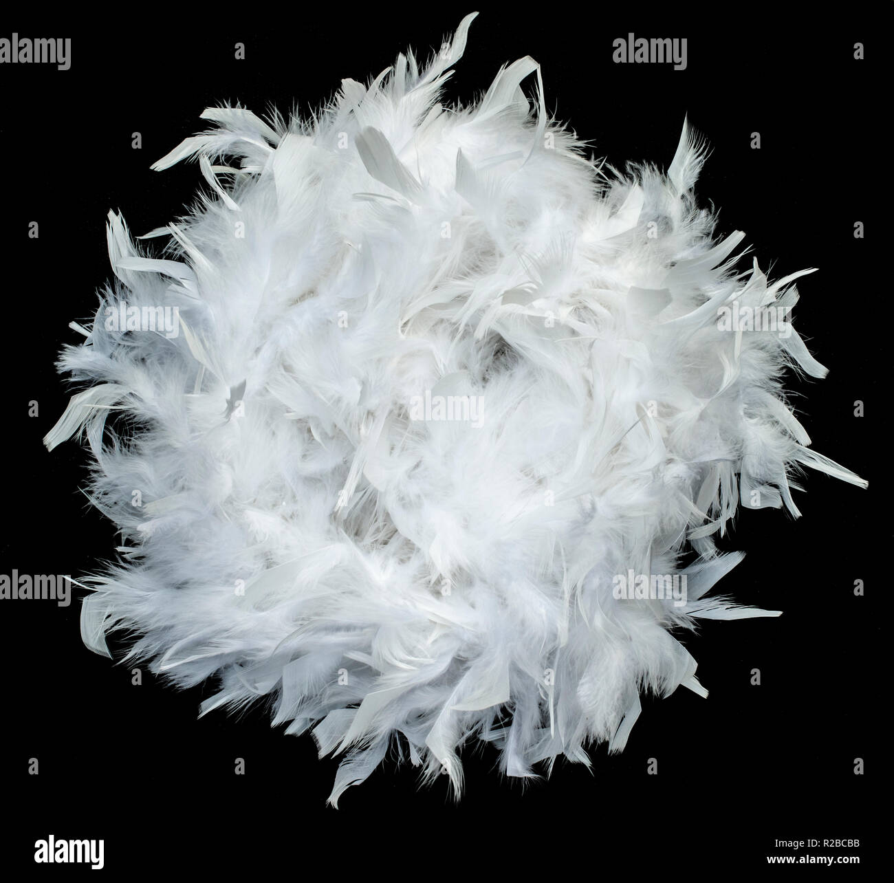 Fluff isolated on black Stock Photo - Alamy