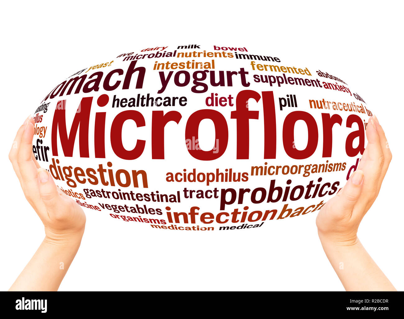 Probiotic microflora Cut Out Stock Images & Pictures - Alamy