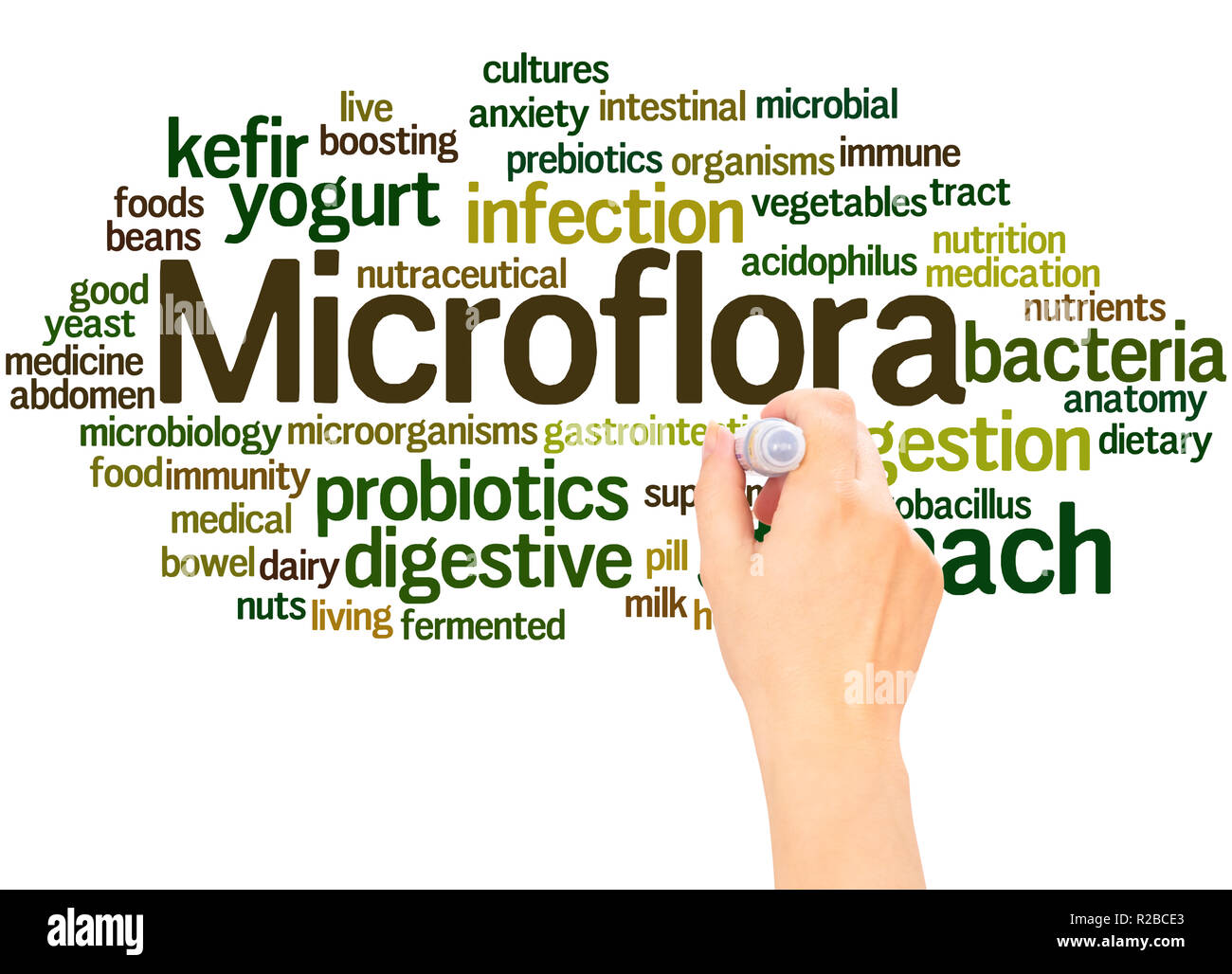 Microflora word cloud hand writing concept on white background Stock ...
