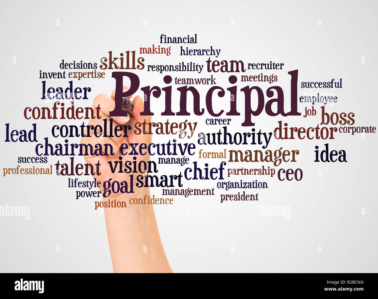 Principal word cloud and hand with marker concept on white background ...