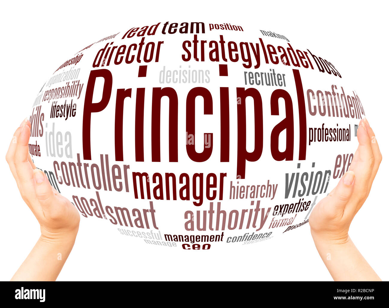 Principal word cloud hand sphere concept on white background Stock ...