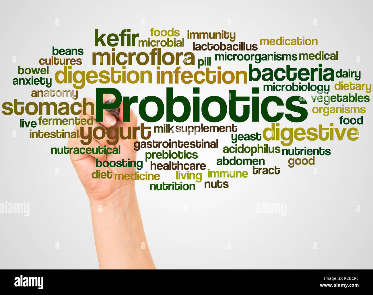 Probiotics, word cloud and hand with marker concept on white background ...