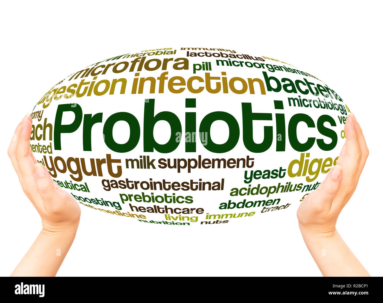 Probiotics word cloud hand sphere concept on white background Stock ...