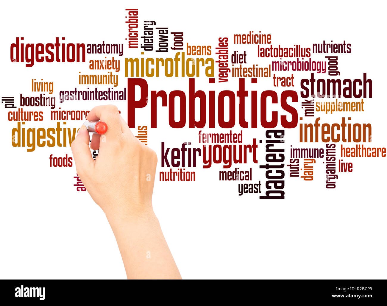 Probiotics, word cloud hand writing concept on white background Stock ...