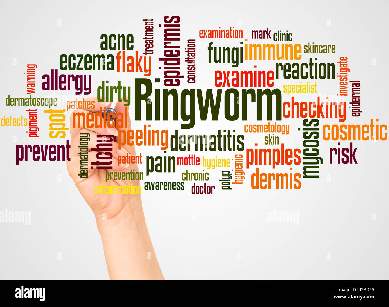 Ringworm word cloud and hand with marker concept on white background ...