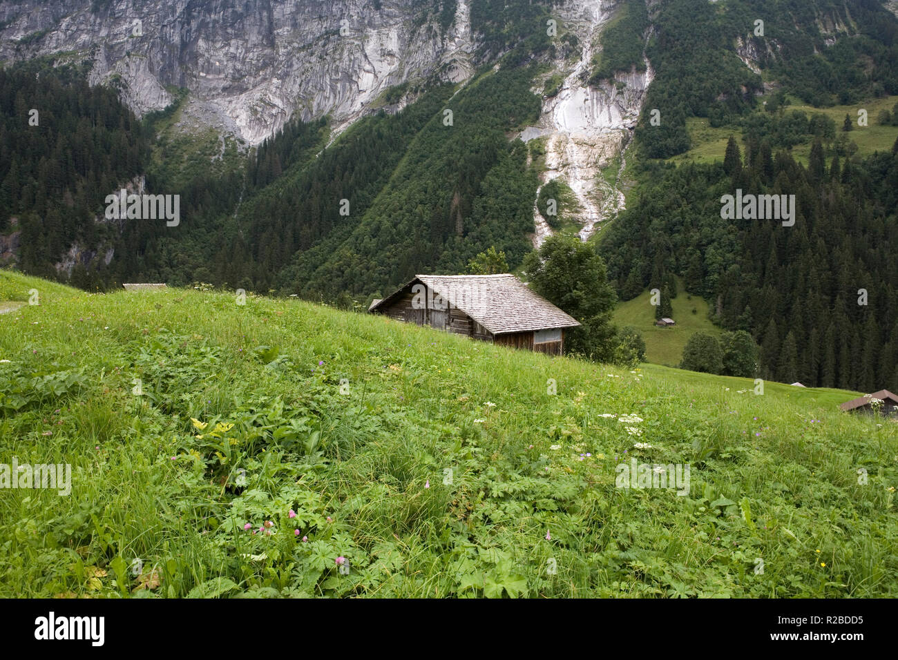 Barns and alpine meadow at Unterhäusern with the steep slopes of the ...