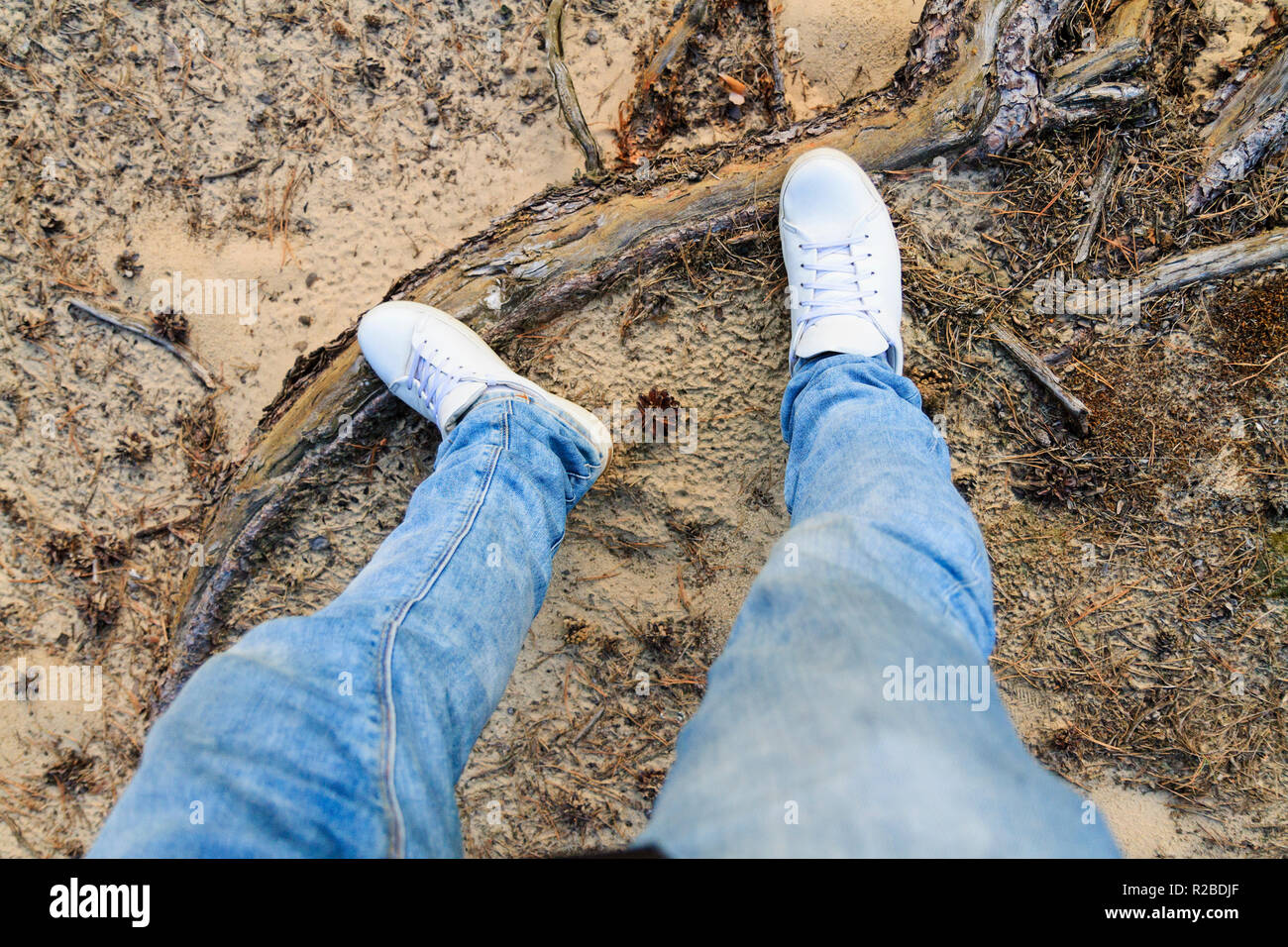 Among nature hi-res stock photography and images - Alamy